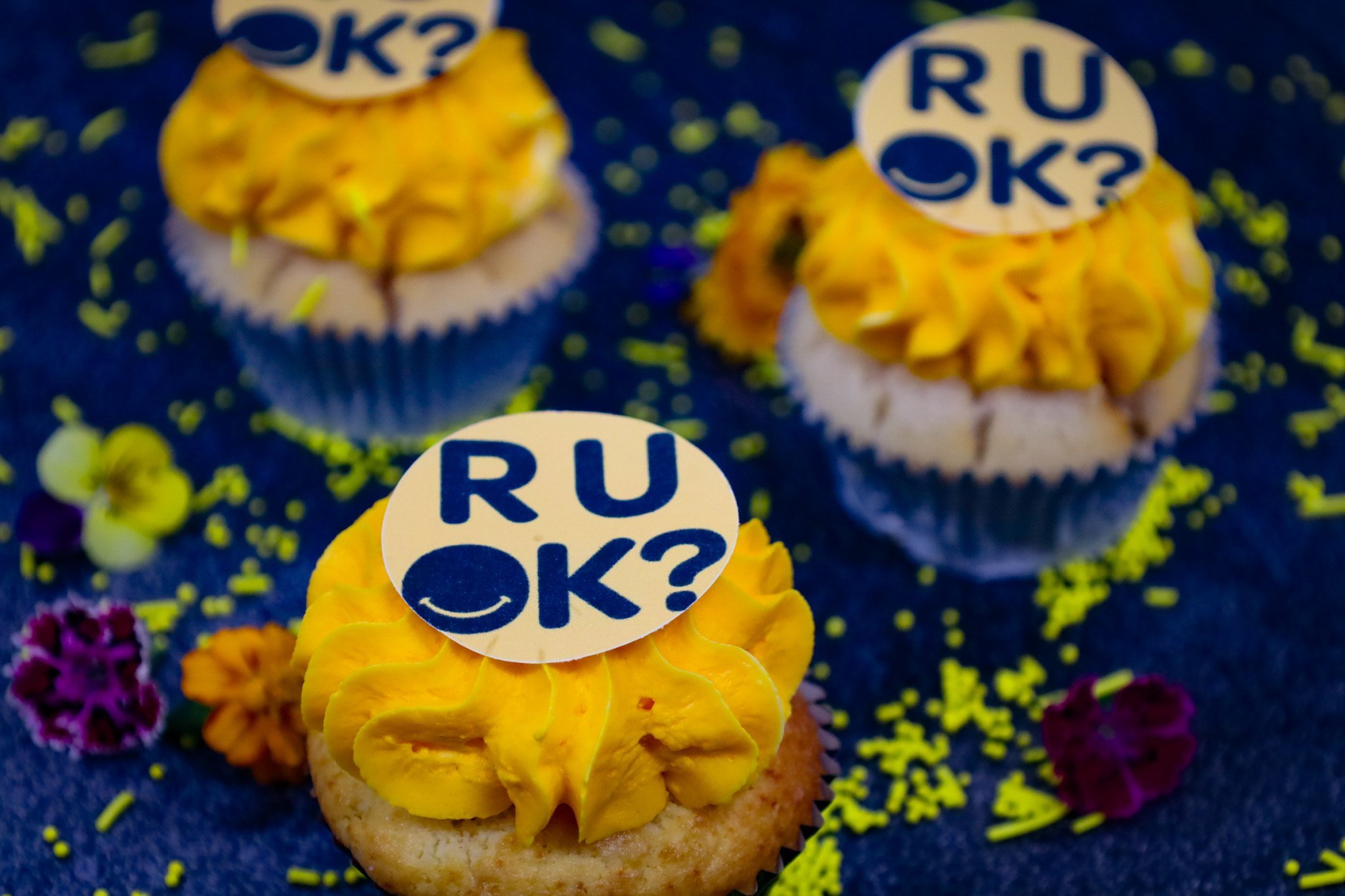 RUOK Day Cupcakes