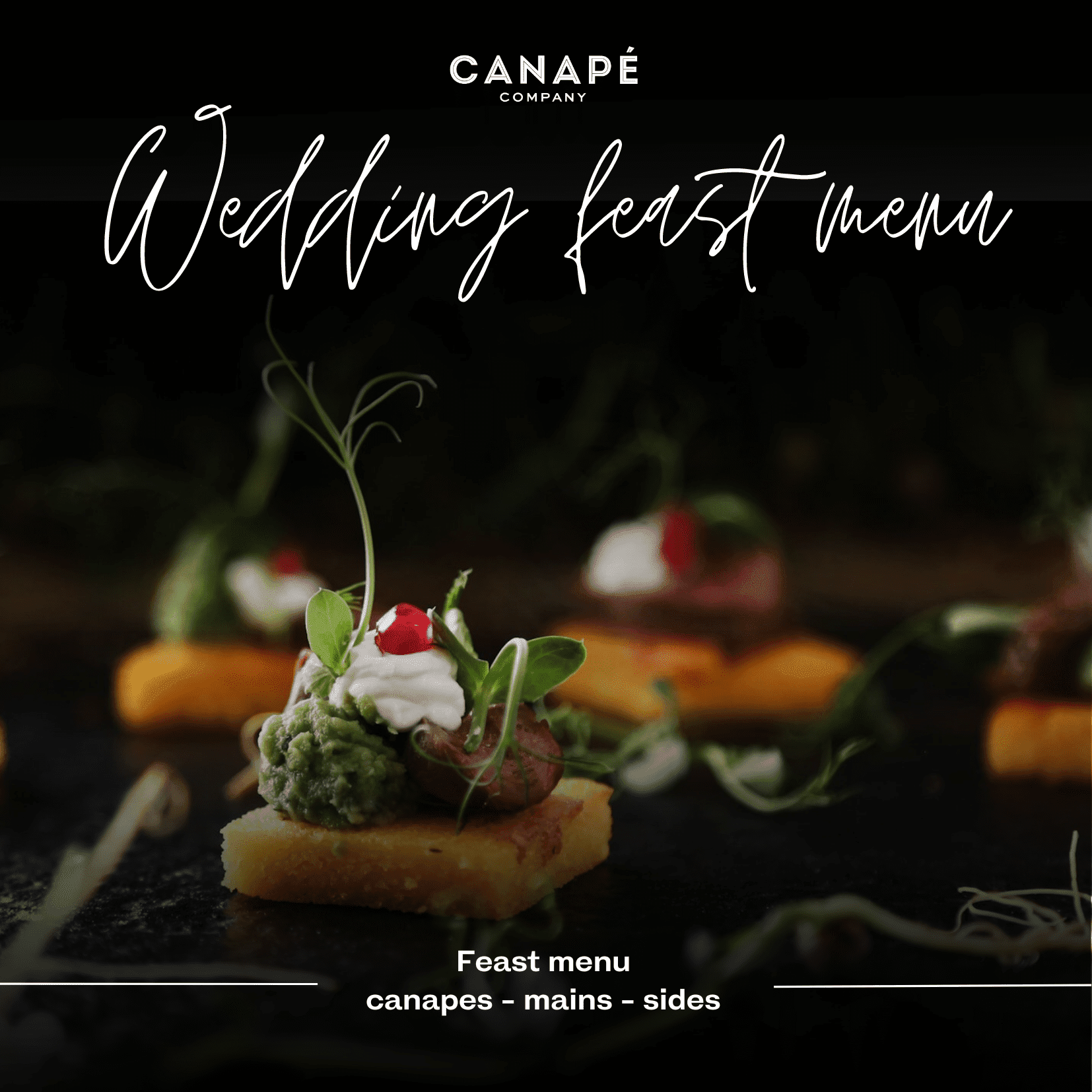 Wedding Feast - canapes, mains, side dishes