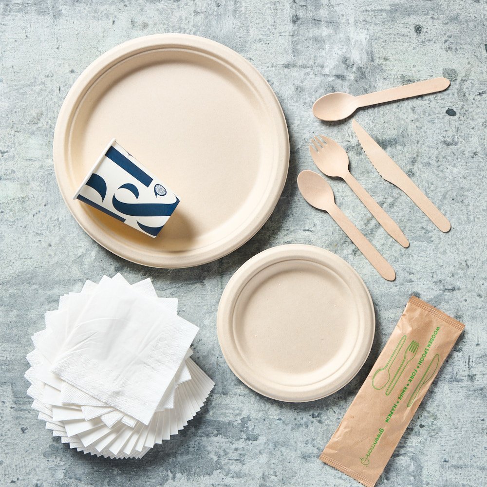 Disposable Plates (20 per pack)