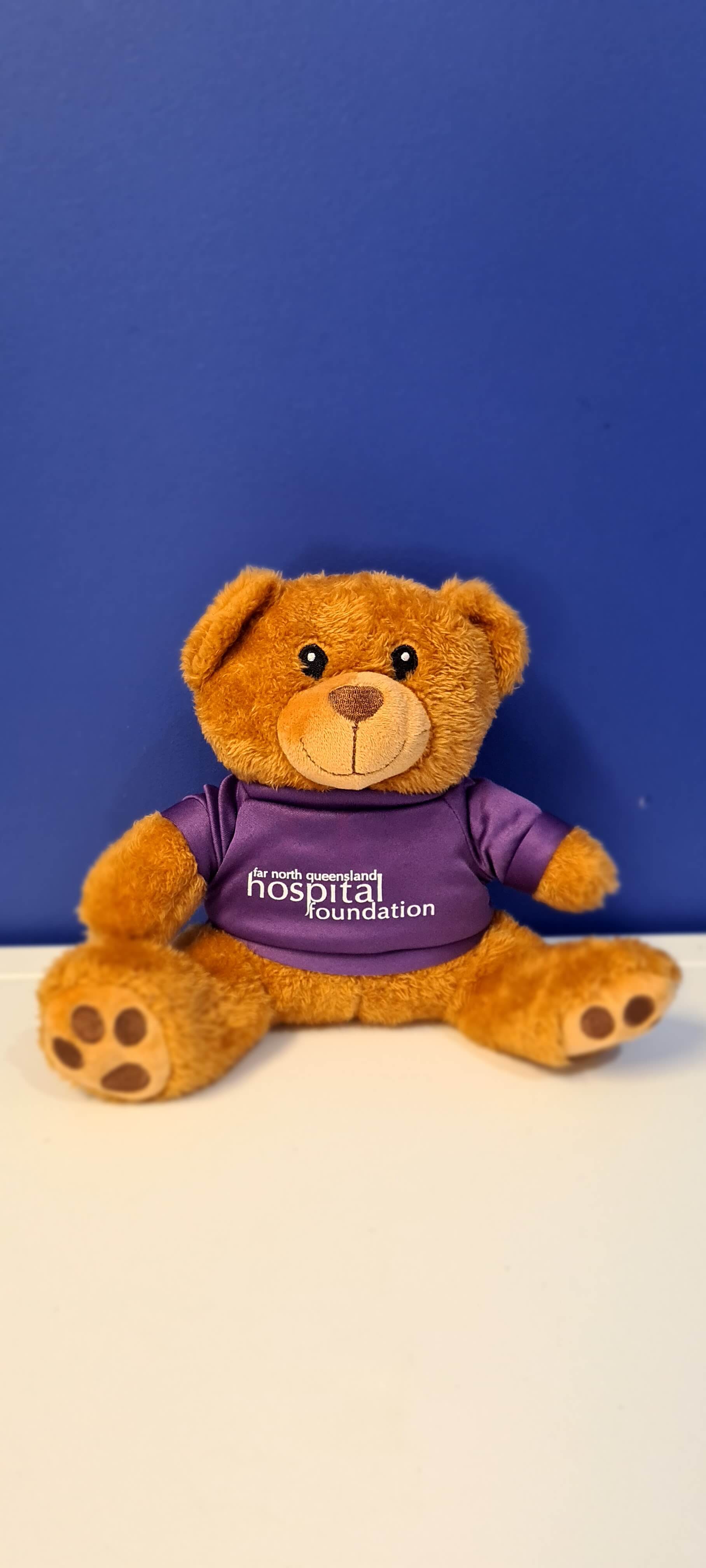 Frankie the Foundation Bear