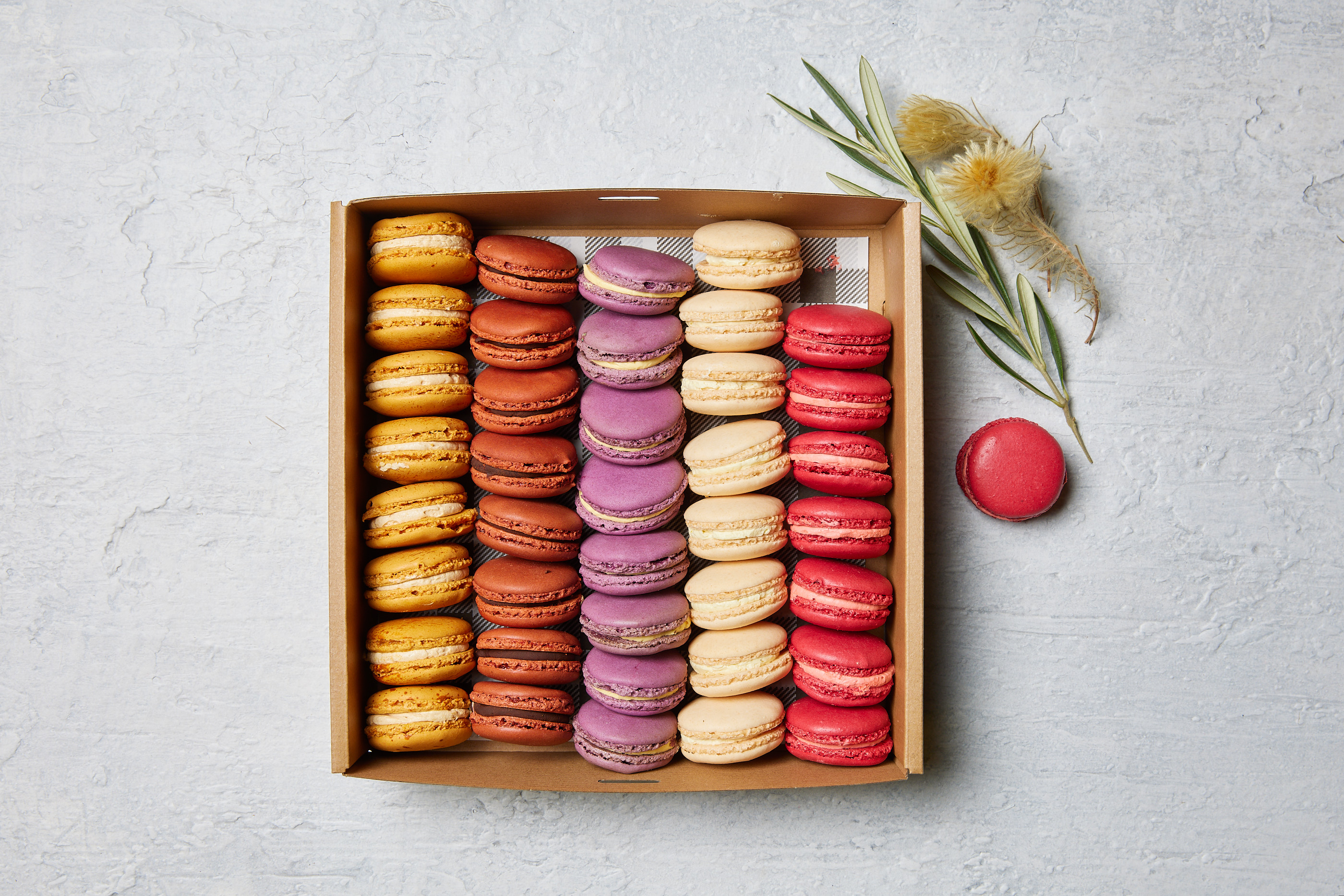Macaron Assorted Flavours