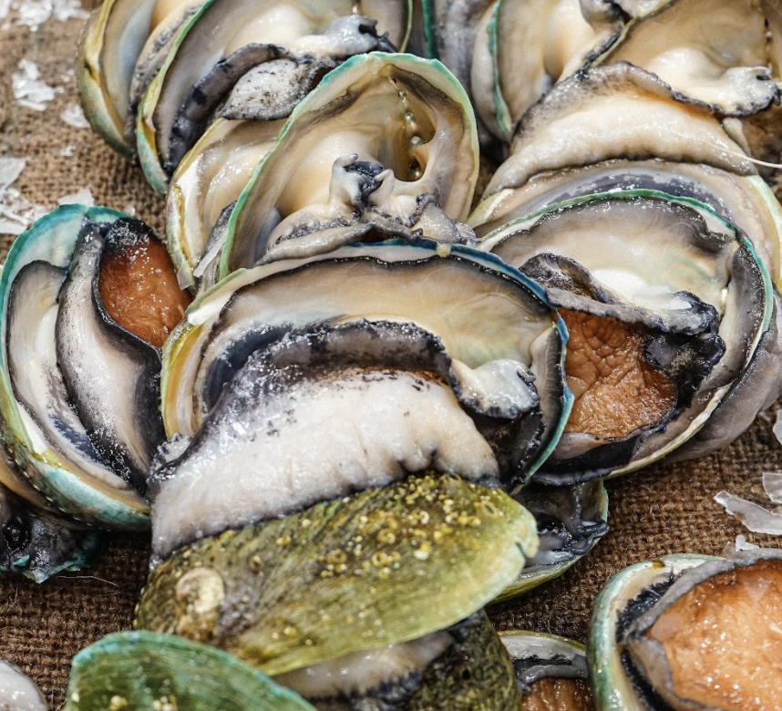 Live Baby Abalone (each)