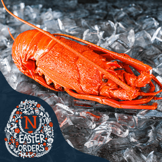 Cooked WA Lobster 400-500g (EASTER)
