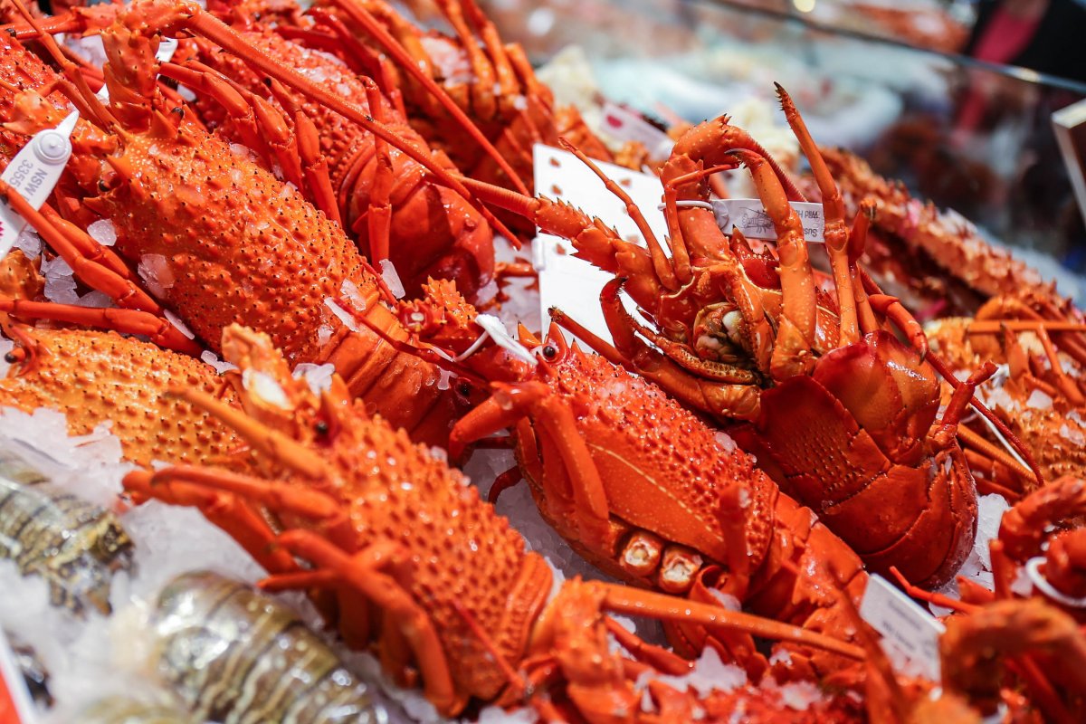 Cooked Local Lobster (600-800g)