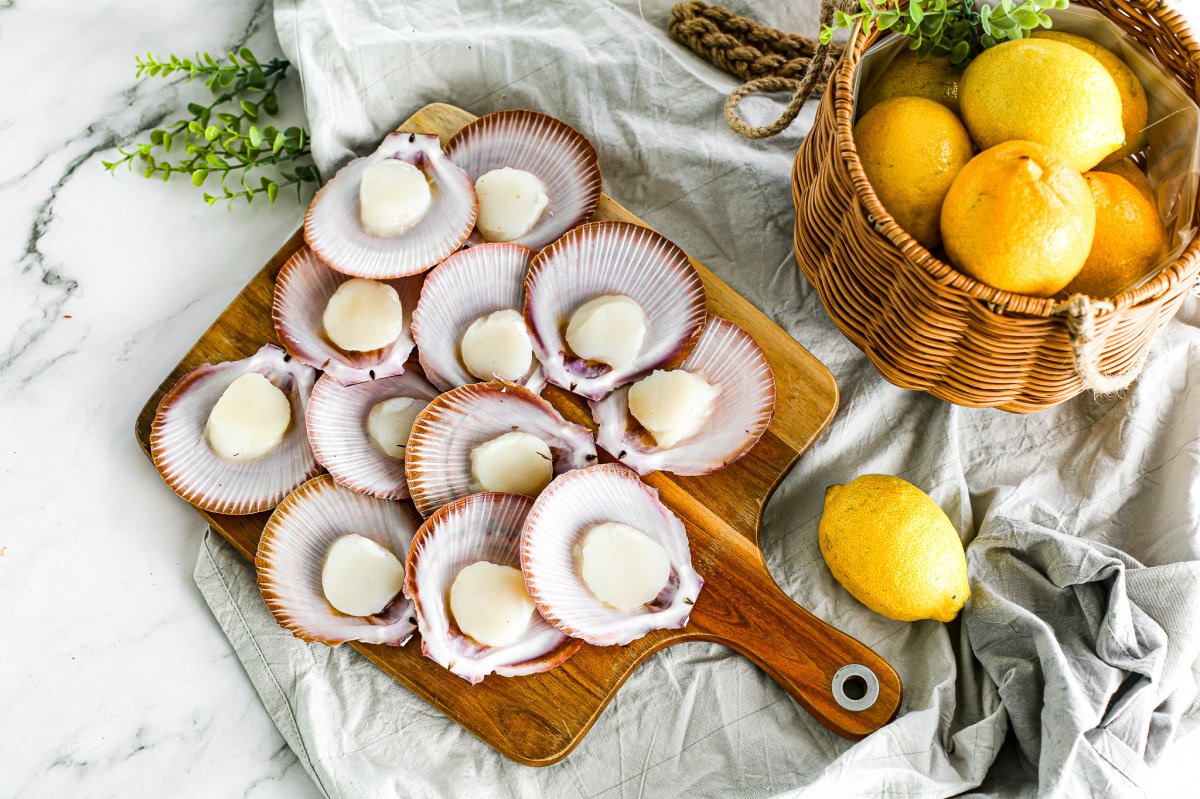Half Shell Scallops Roe-Off (1 Dozen)