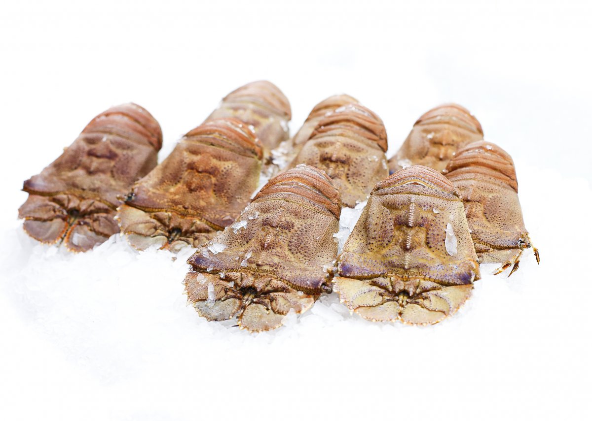Raw Moreton Bay Bugs (1kg)