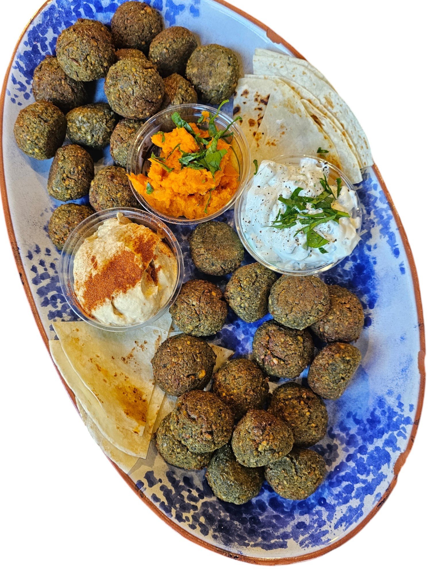 Falafel Platter
