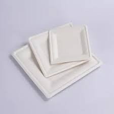 Disposable Biodegradable Side Plate